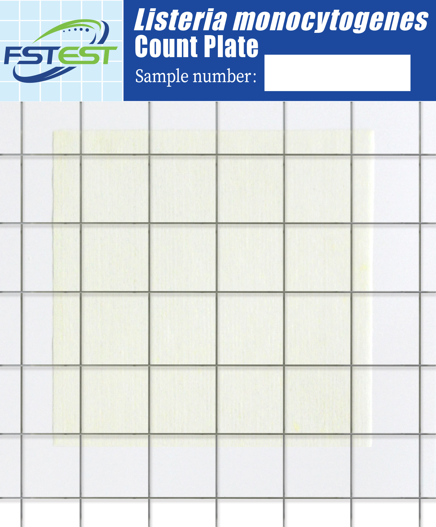 Listeria monocytogenes Count Plate