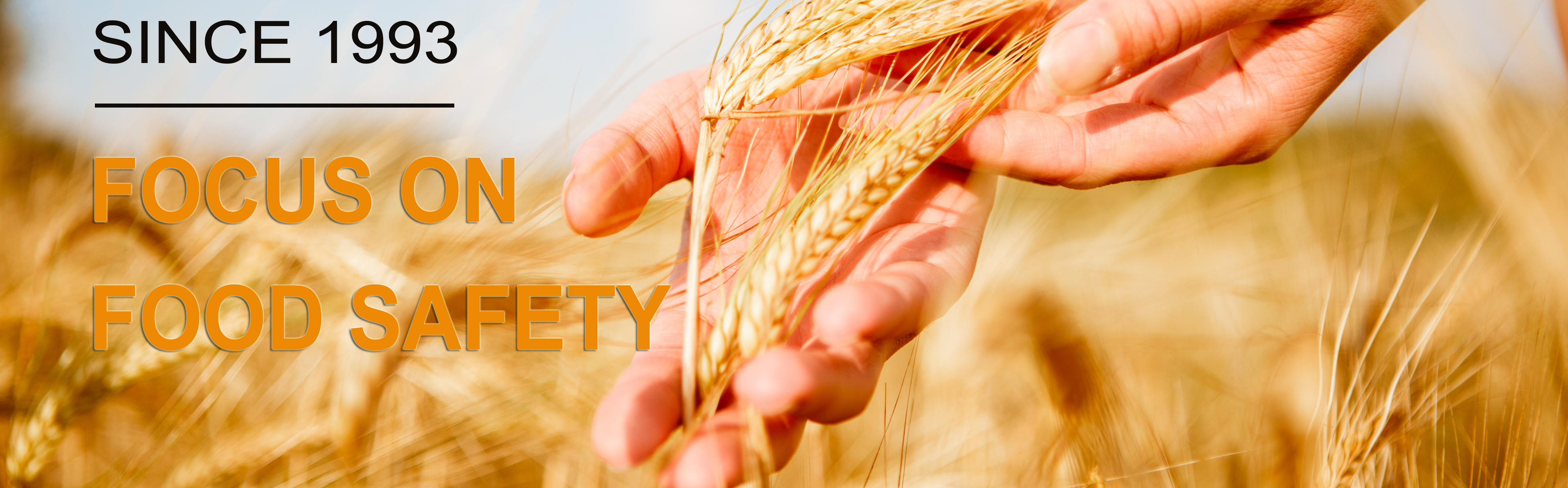 Vomitoxin Rapid Test Kit