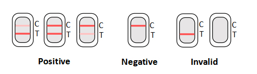 E. coli O157 Rapid Test Kit(lateral flow)